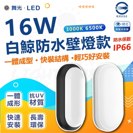 【DanceLight 舞光】單入 白鯨系列 LED 16W 壁燈 防水係數IP66（白光/黃光） - 線上購買 | 好買市集(原Hami市集)