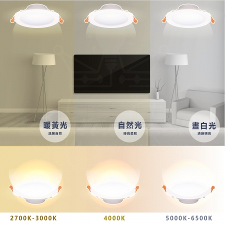 DanceLight 舞光 單入組 LED 16W 尼莫防水崁燈 開孔15CM IP66防水防塵 白光 6500K / 黃光 3000K - 線上購買 | 好買市集(原Hami市集)